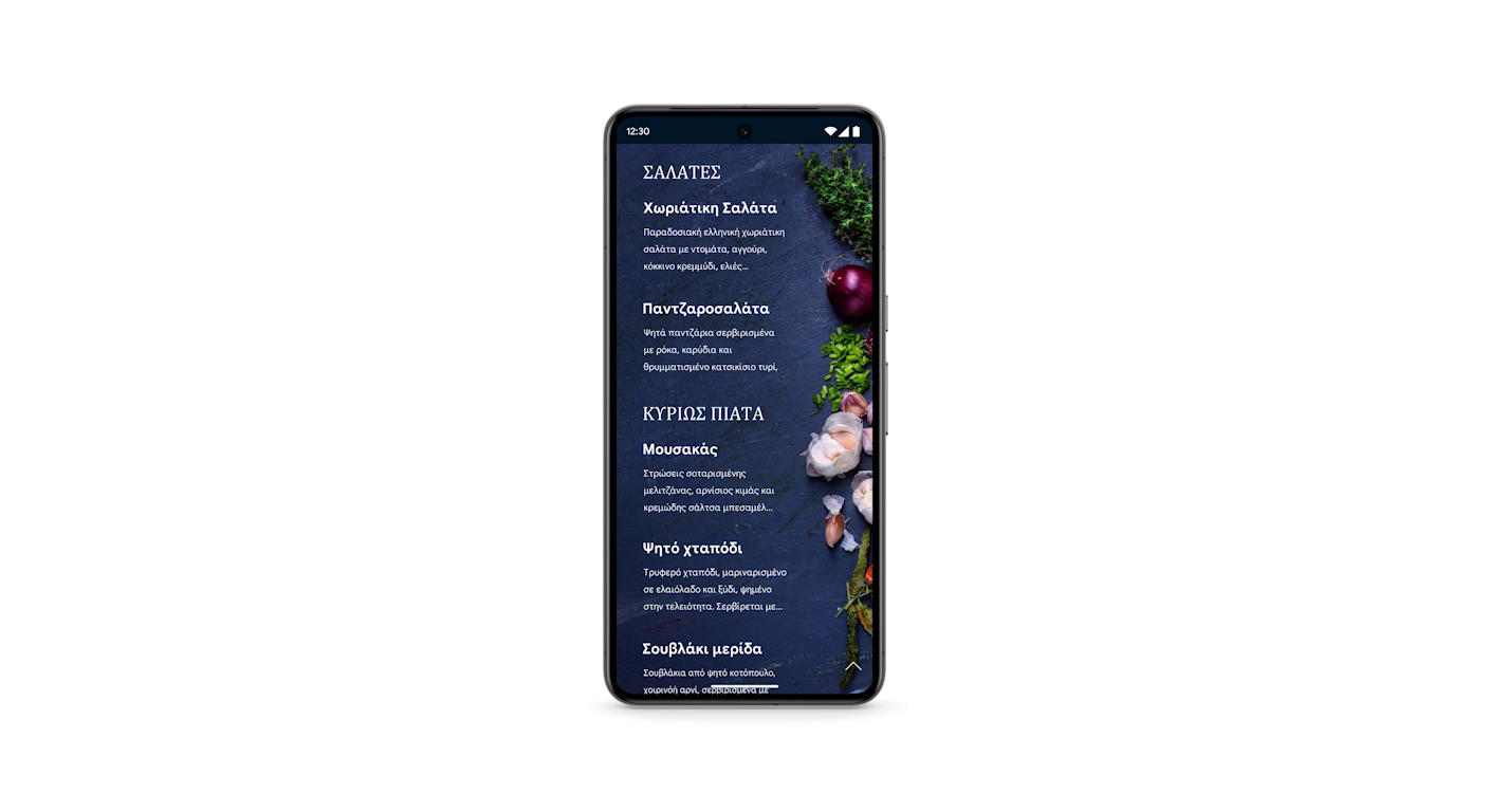 Circle to Search Translator