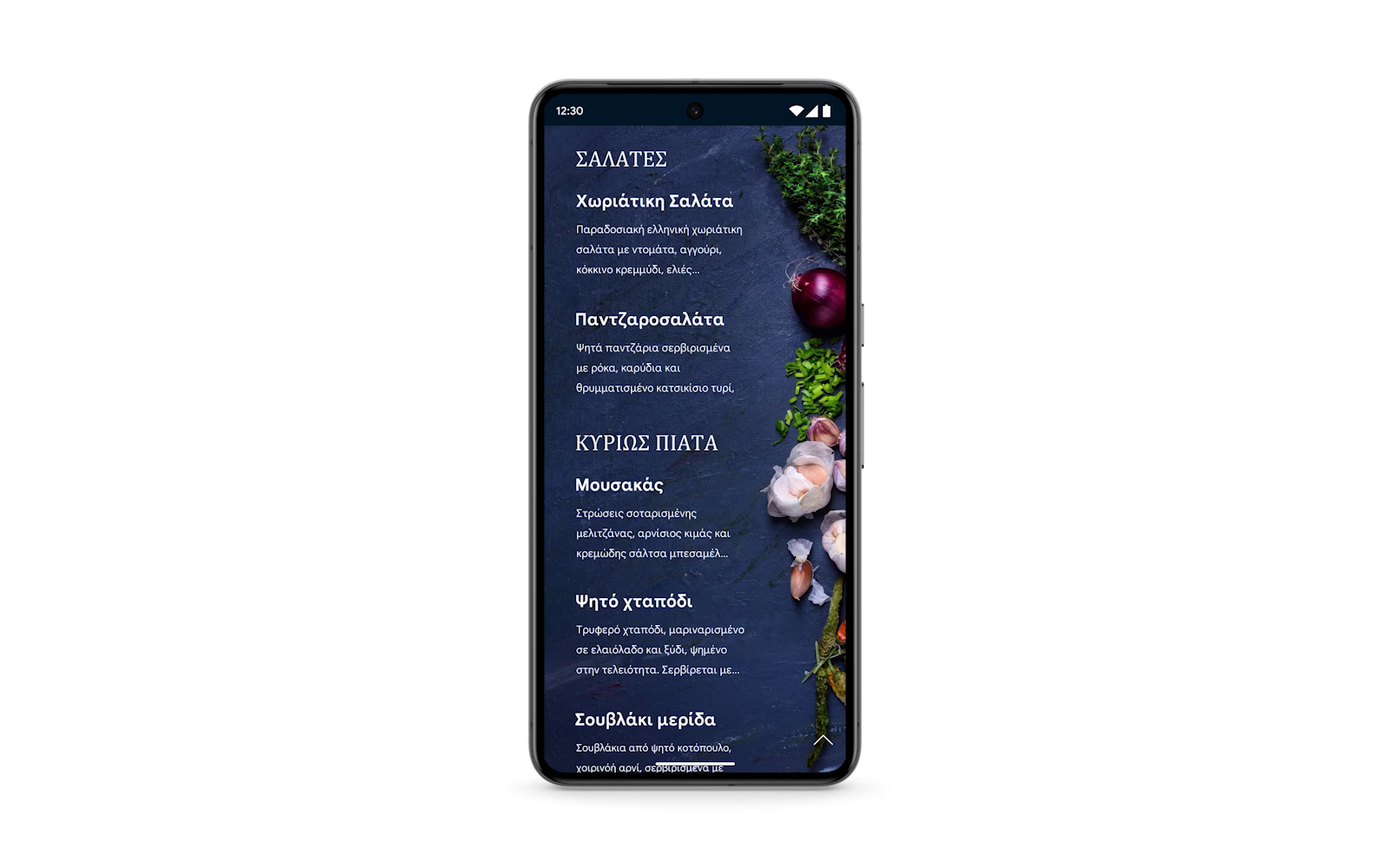 Circle to Search Translator